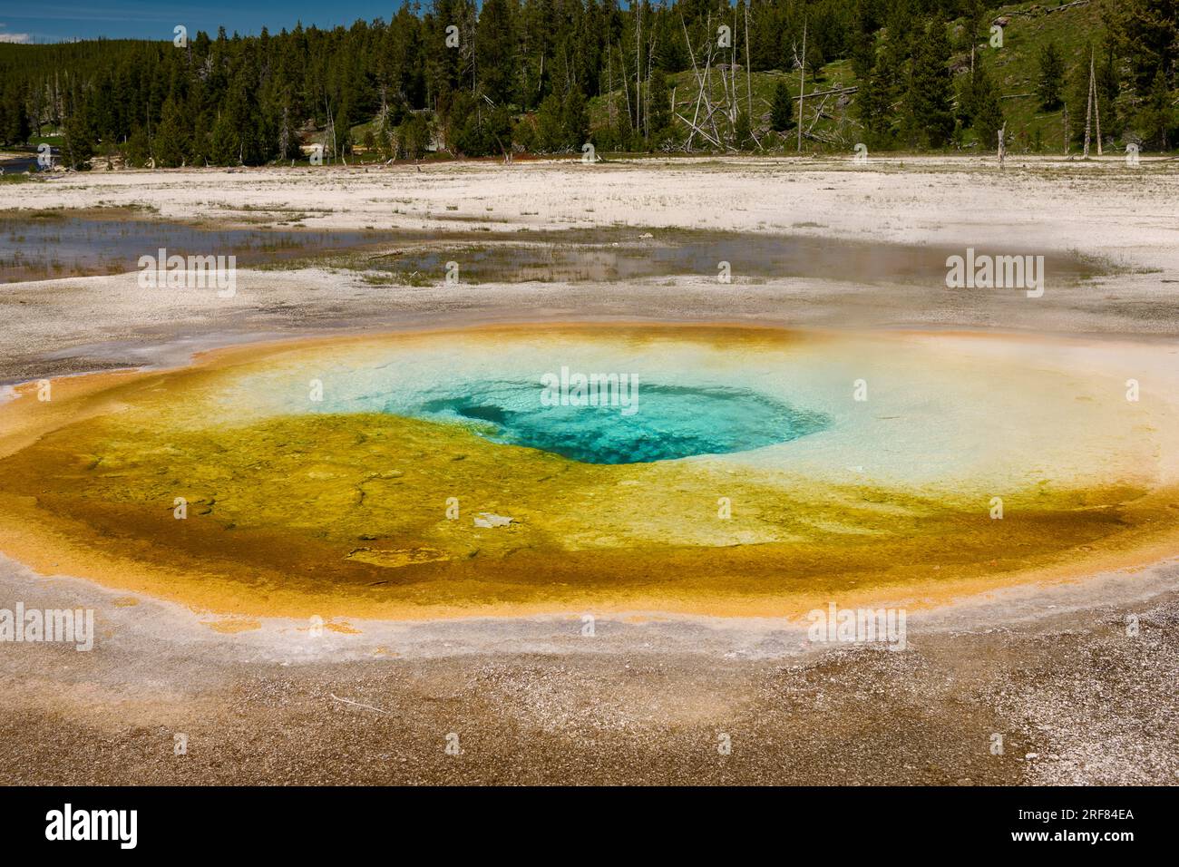 Chromatic Pool, Upper Geyser Basin, Yellowstone National Park, Wyoming ...