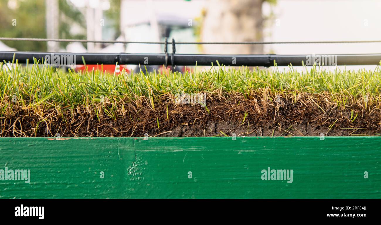 Soil grass cross section hi-res stock photography and images - Alamy