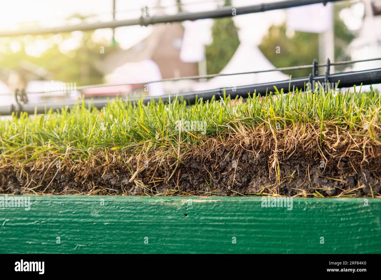 Cross section of grass and soil hi-res stock photography and images - Alamy