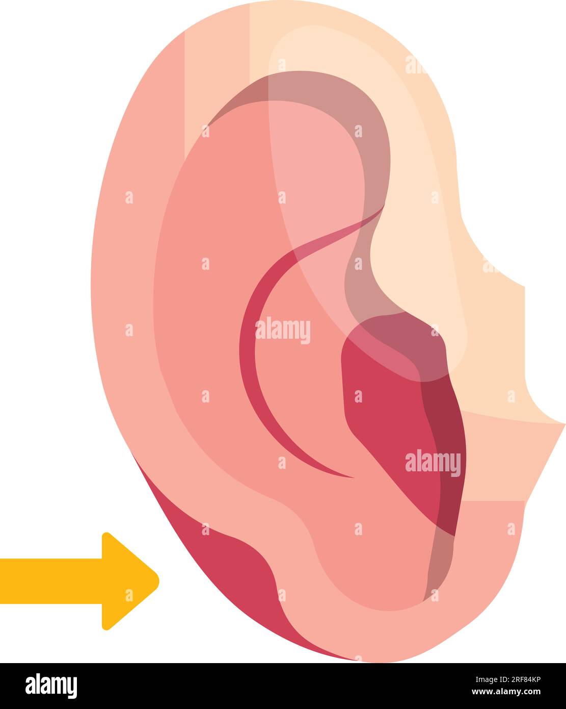 plastic surgeons vector icon design, beauty and personal care symbol ...
