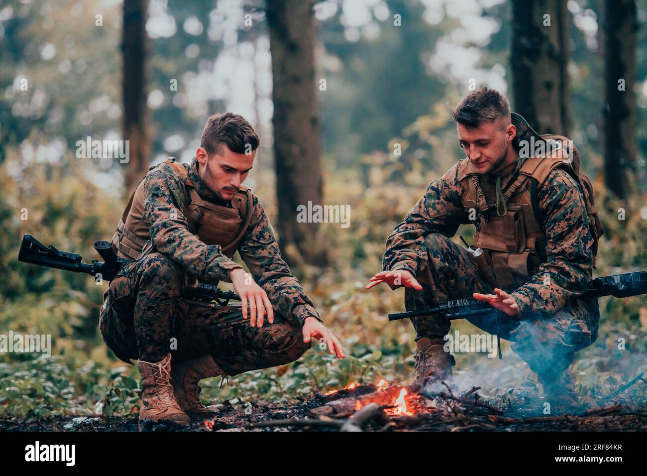 Blaze camouflage hi-res stock photography and images - Alamy