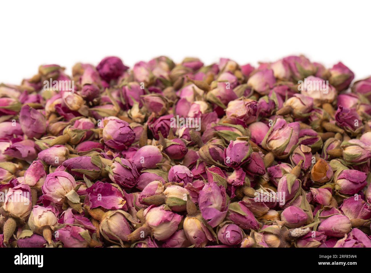 Rose with dry leaves hi-res stock photography and images - Alamy