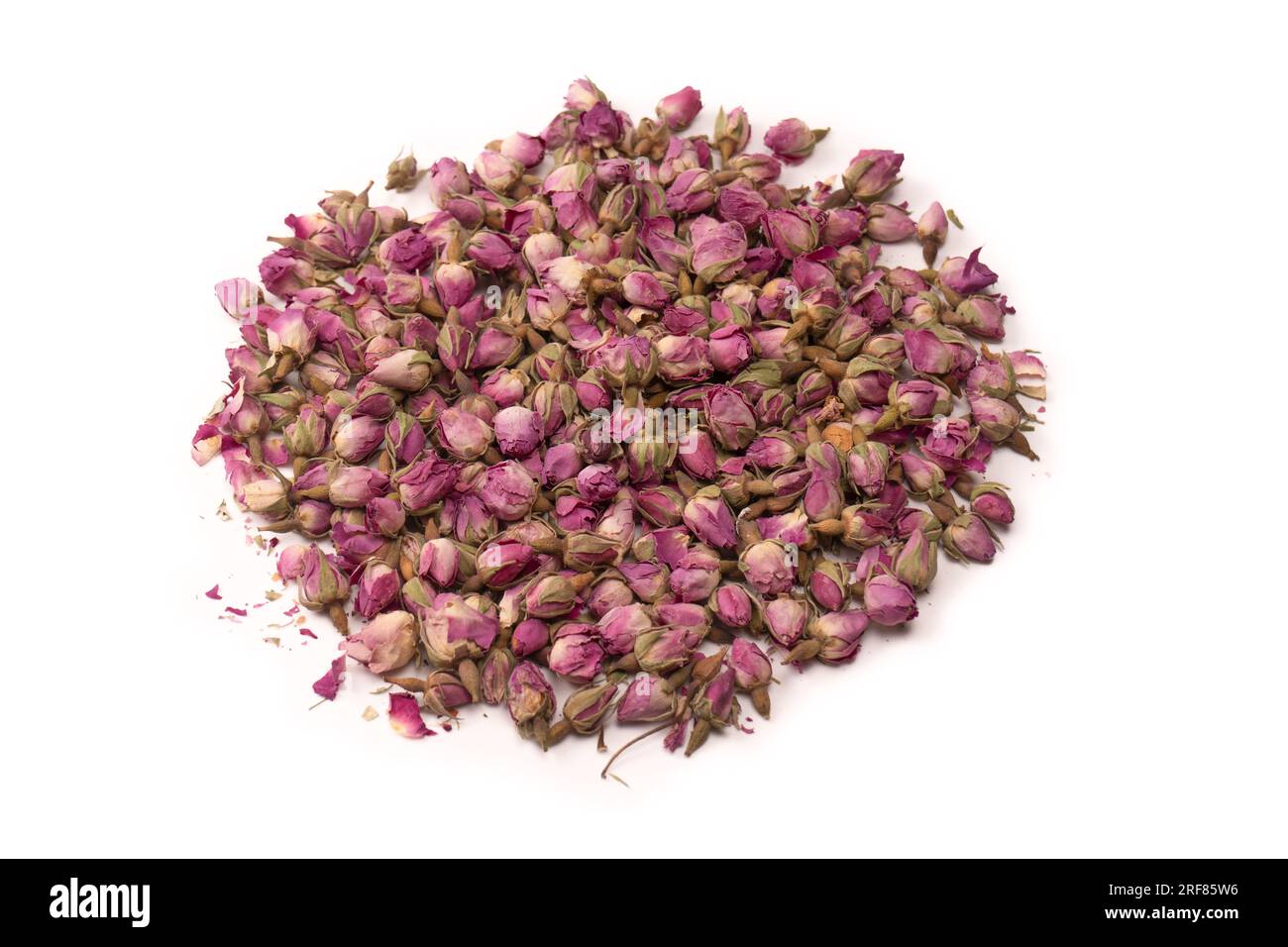 Rose with dry leaves hi-res stock photography and images - Alamy