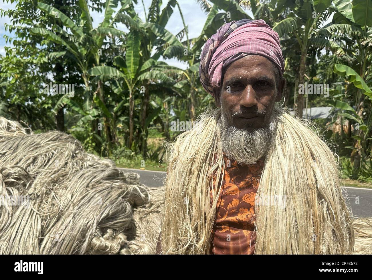 Kurigram, Bangladesh. 1st Aug, 2023. A farmer looks while processing jute fibres at a village in ...