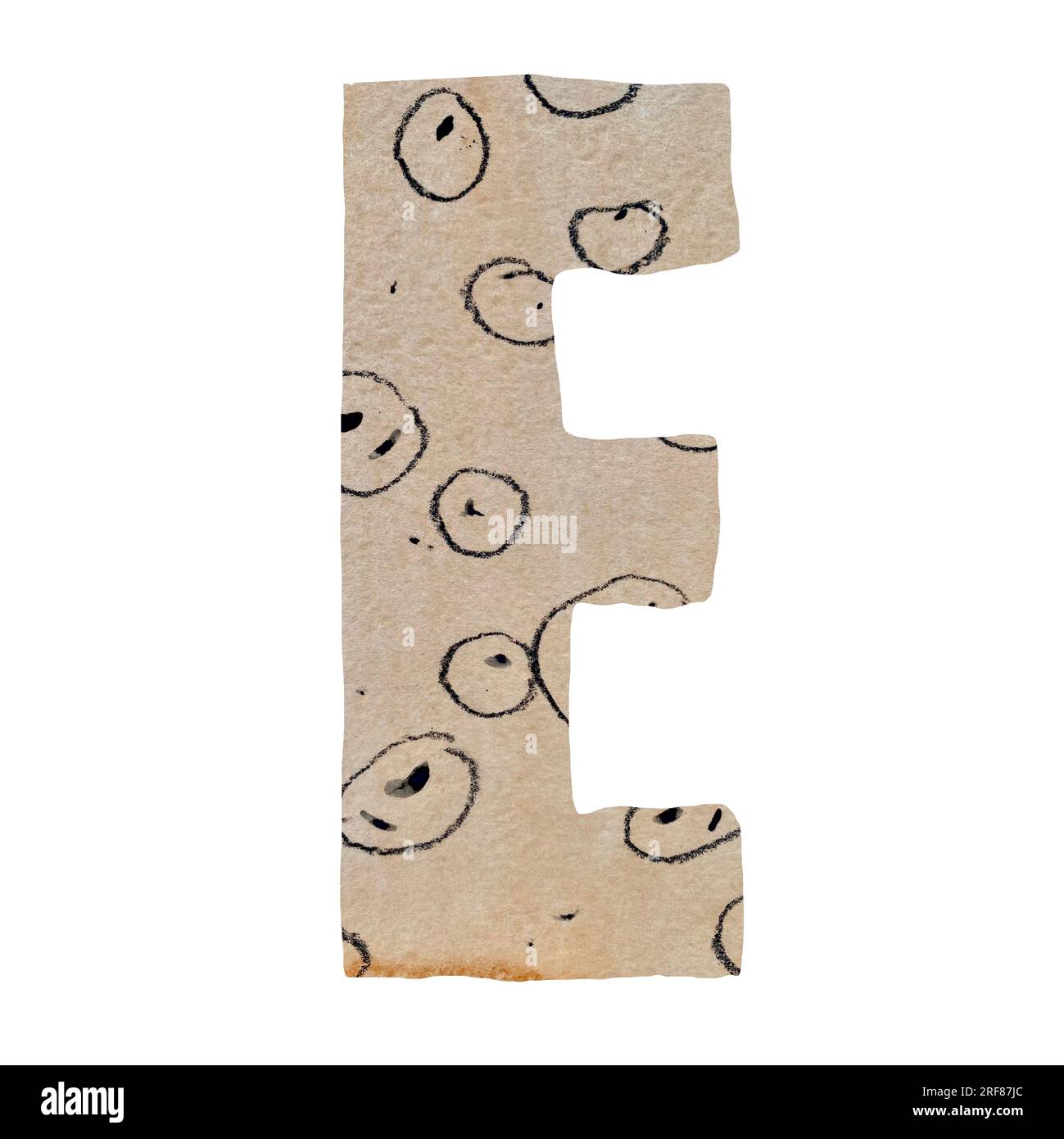 Capital letter E cut out paper alphabet Stock Photo - Alamy