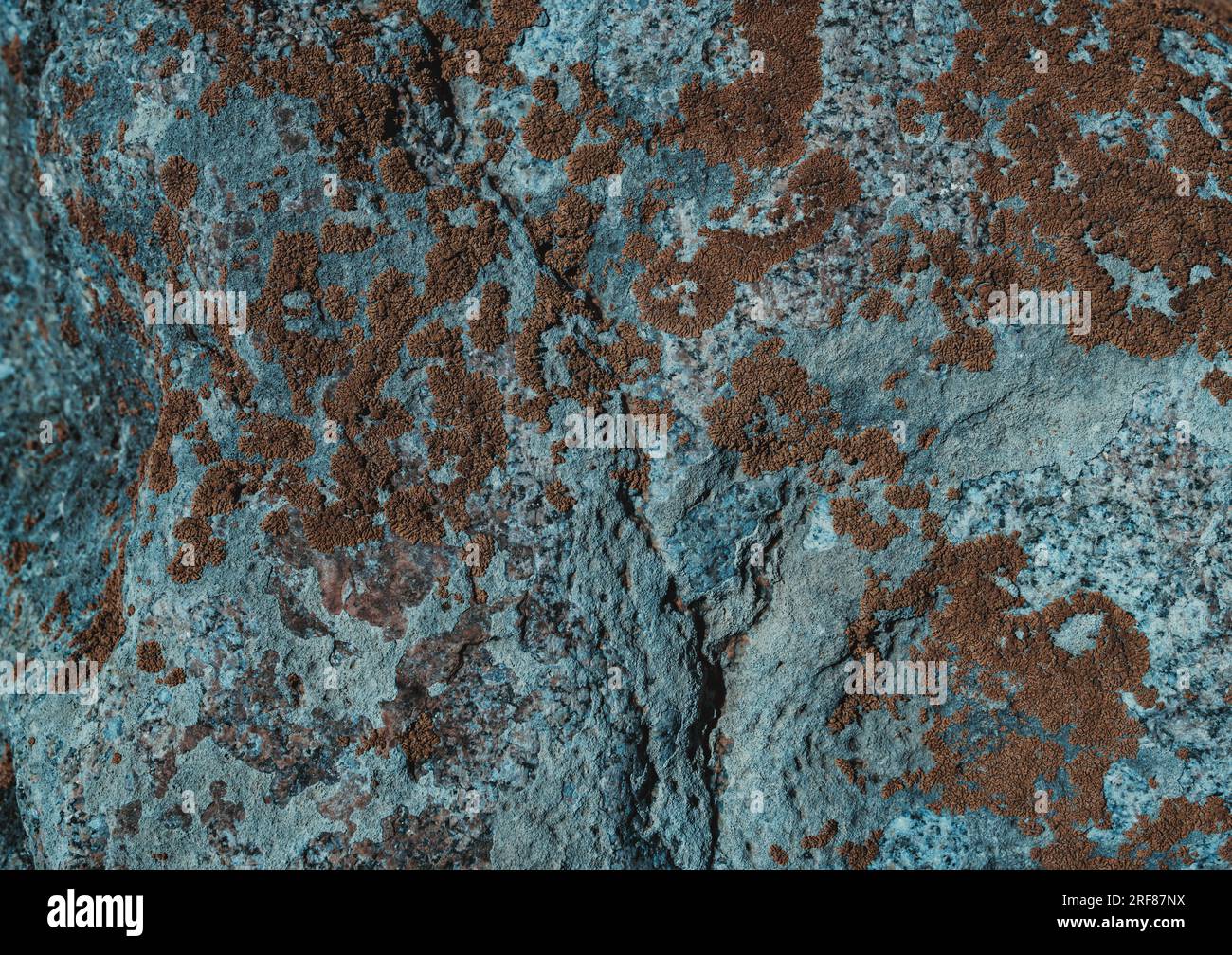 Stone with moss texture or background Stock Photo - Alamy