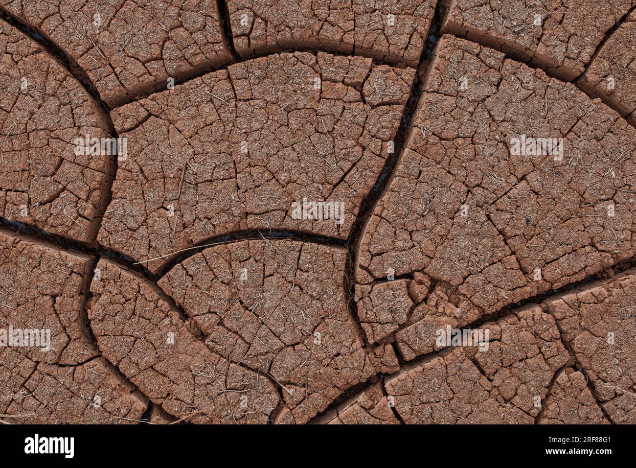 Cracked ground in desert texture or background Stock Photo - Alamy