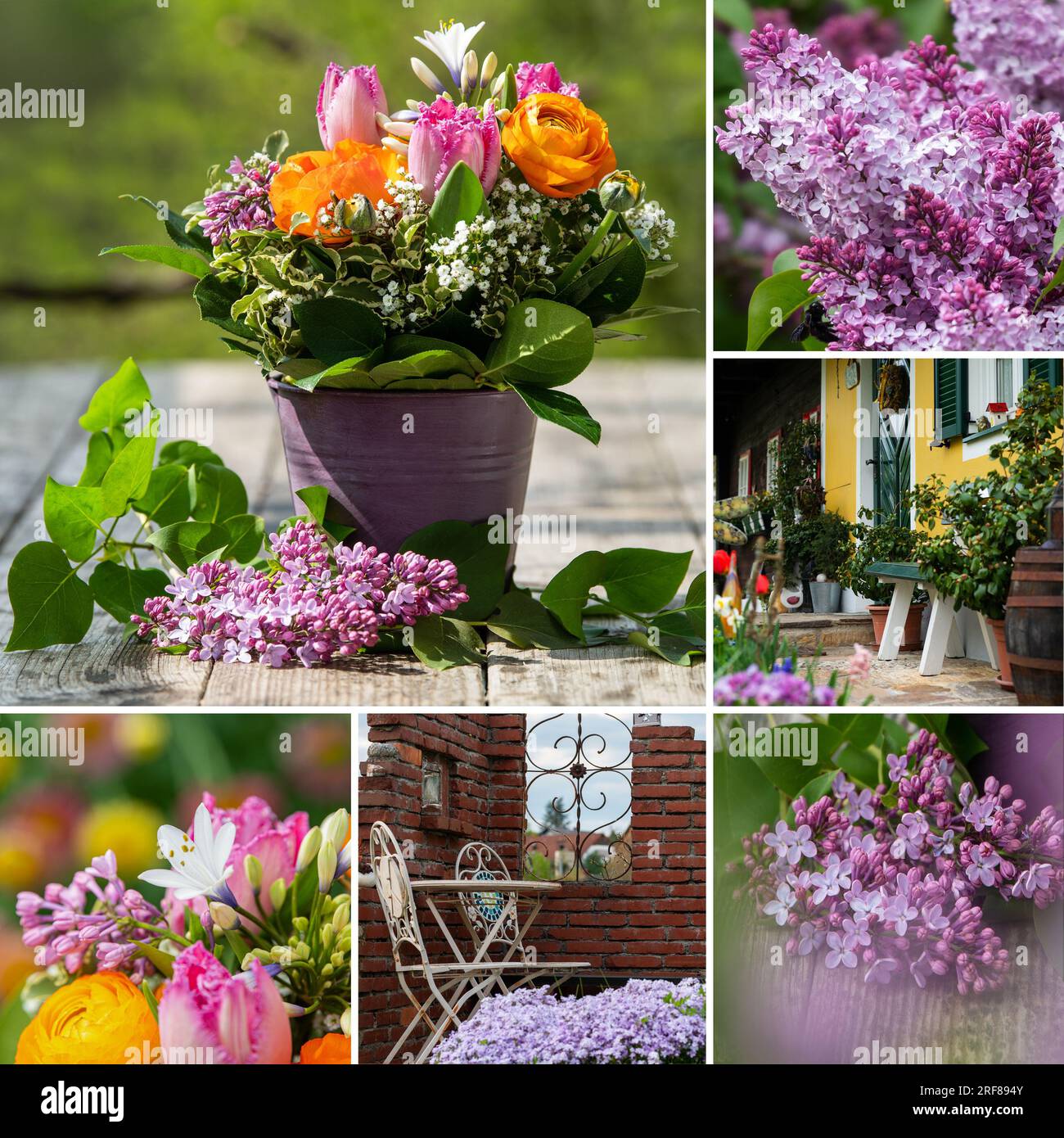 Collage of different springtime pictures Stock Photo - Alamy