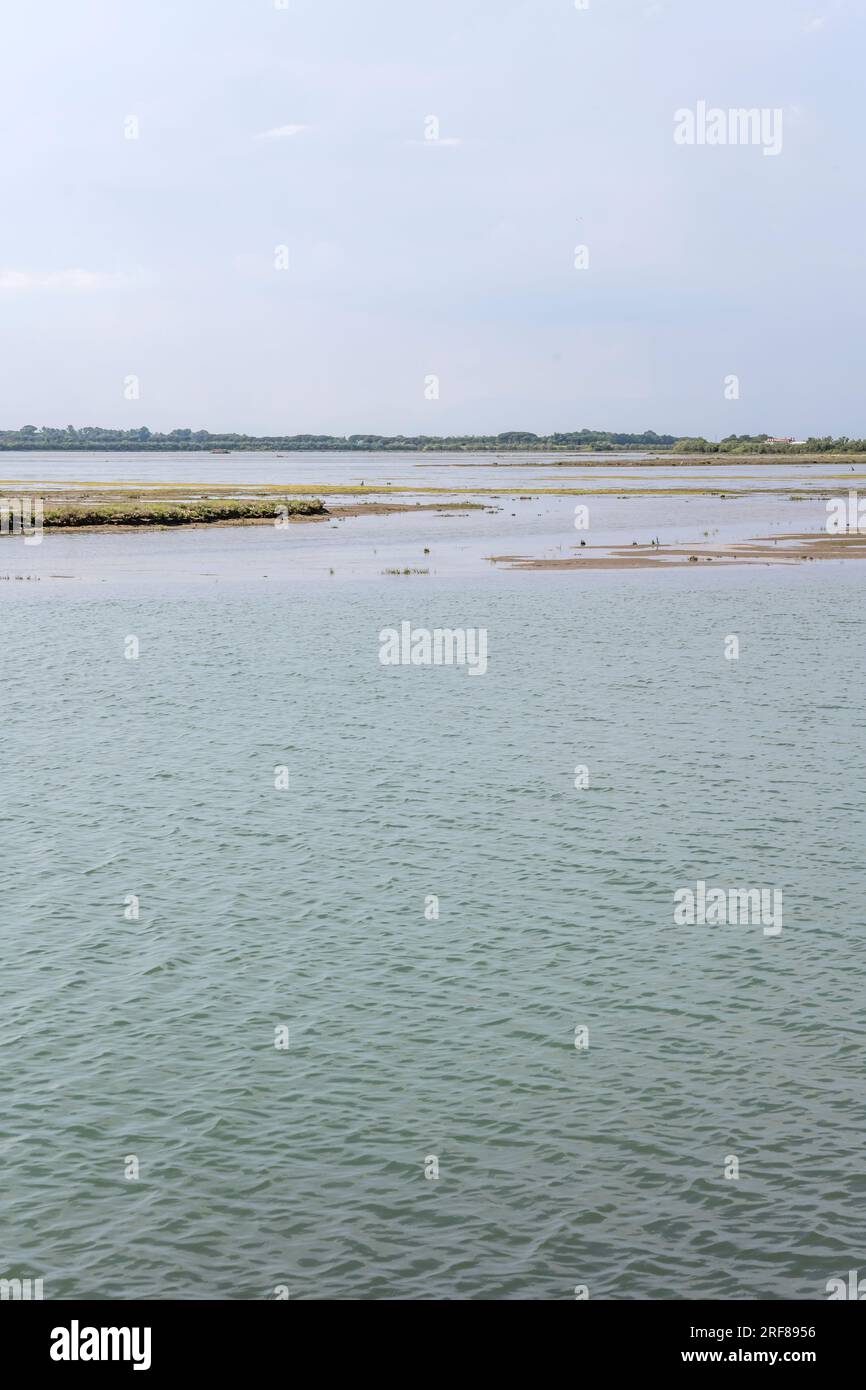 landscape with saltmarshes in lagoon shallow waters, shot in bright ...