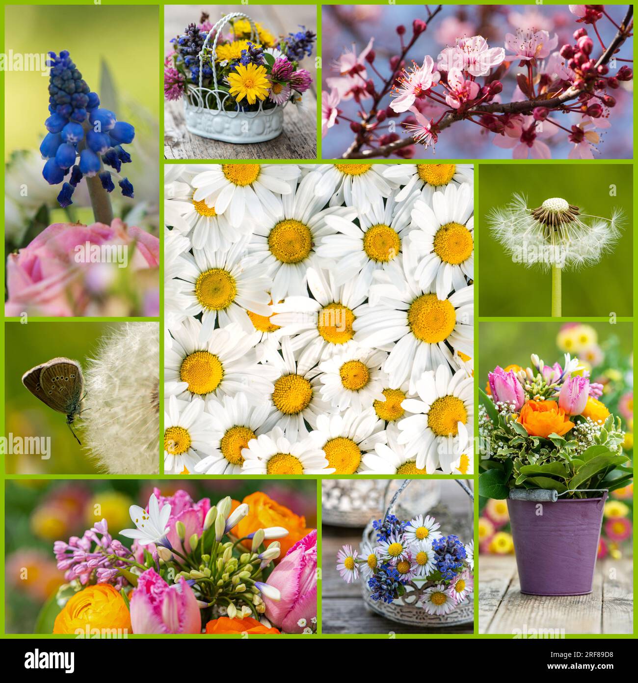 Collage of different springtime pictures Stock Photo - Alamy