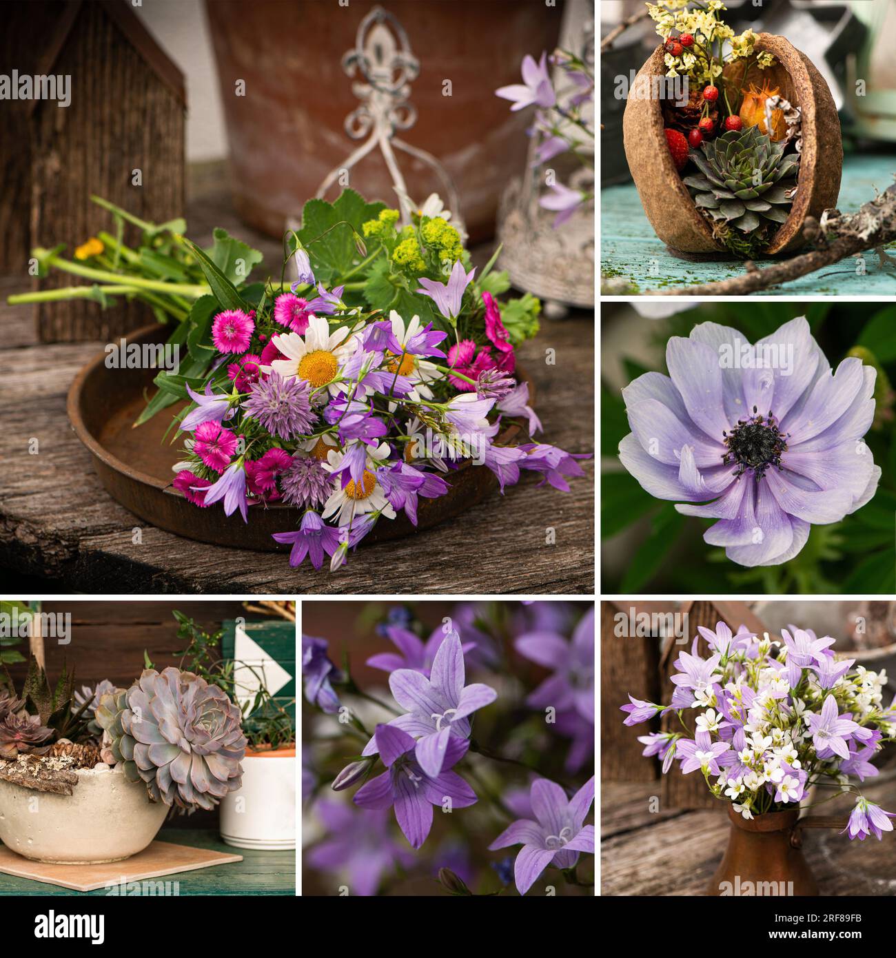 Collage of different flower pictures Stock Photo - Alamy