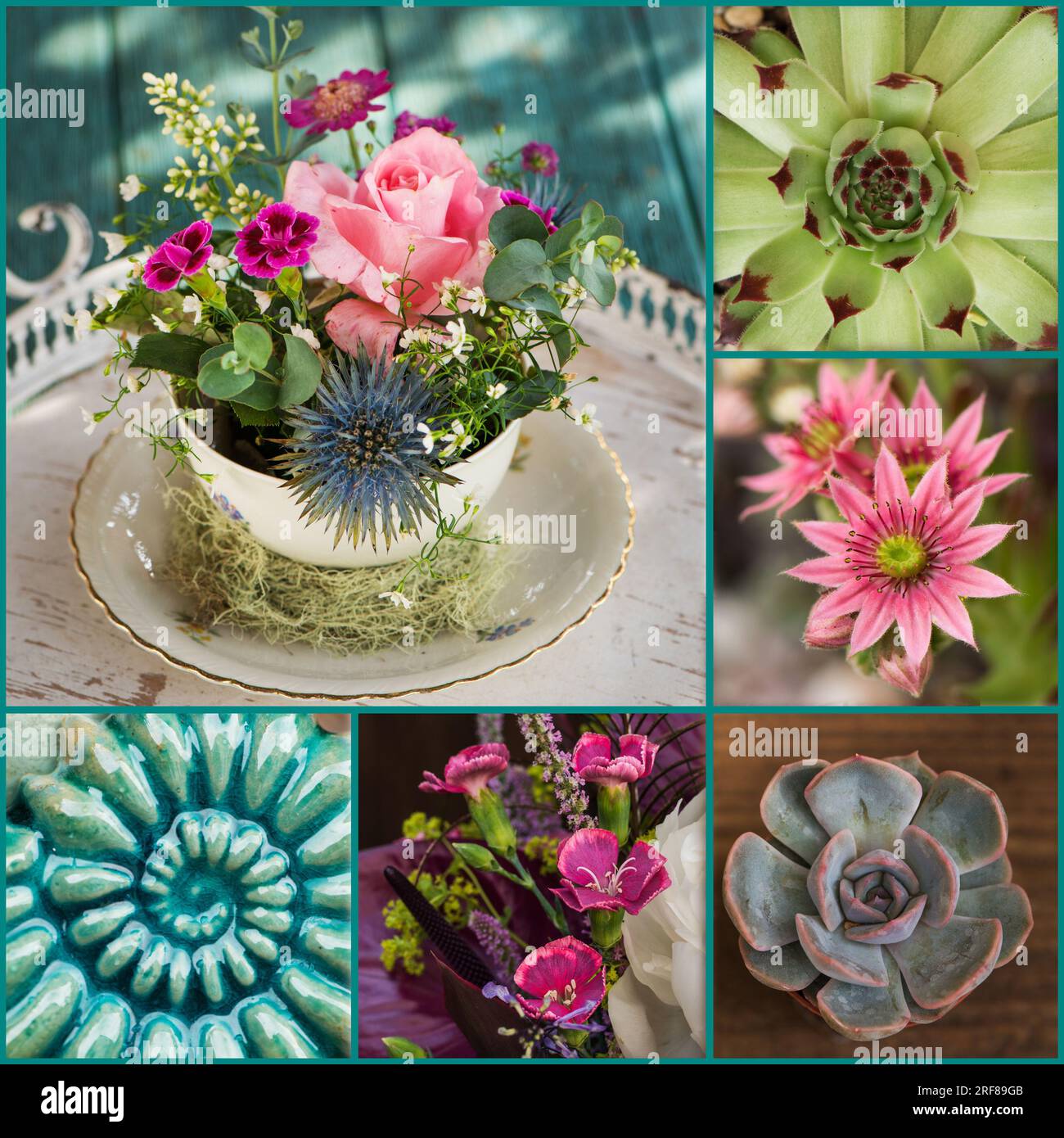 Collage of different flower pictures Stock Photo - Alamy