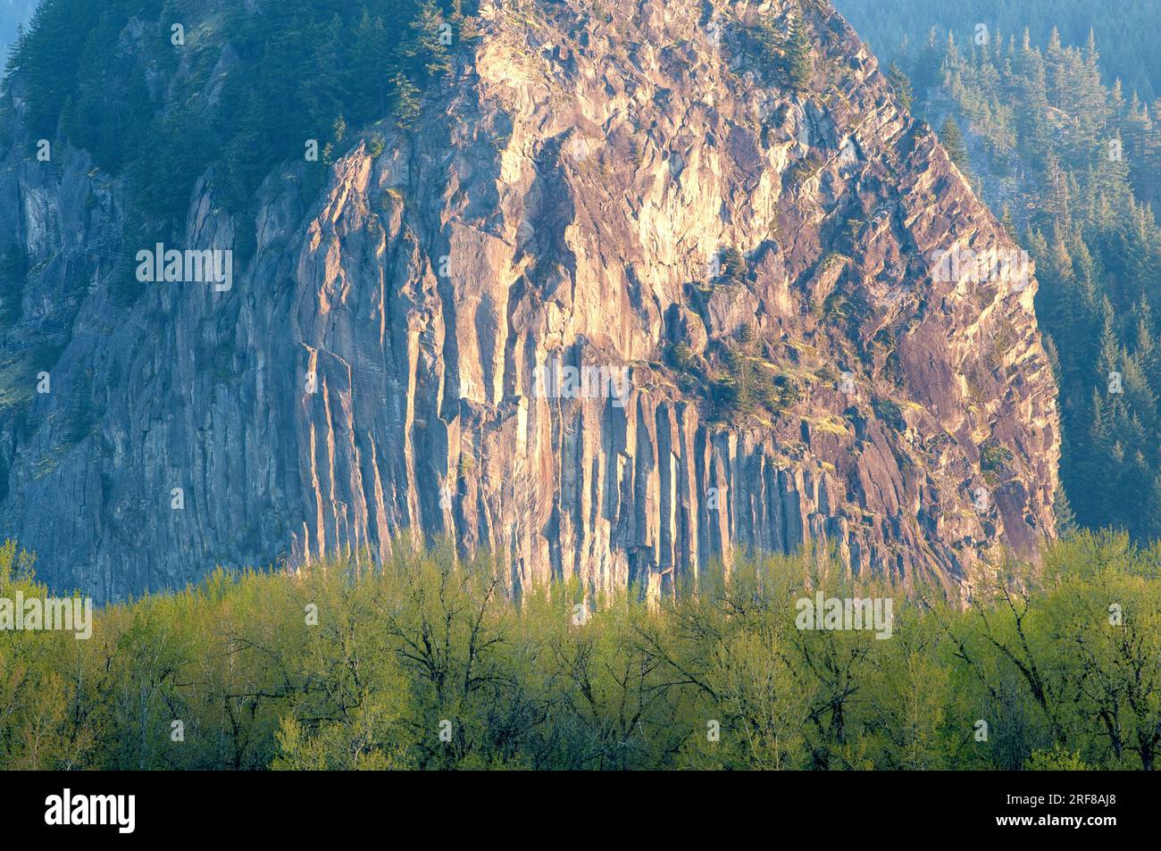 Beacon rock stands above the Columbia River in Washington State Stock ...