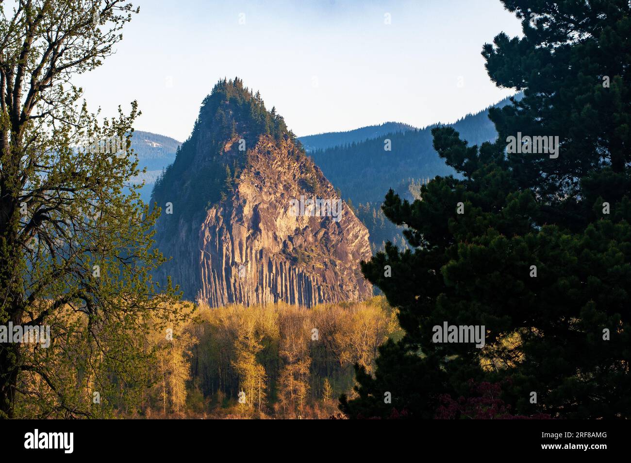 Beacon rock stands above the Columbia River in Washington State Stock ...