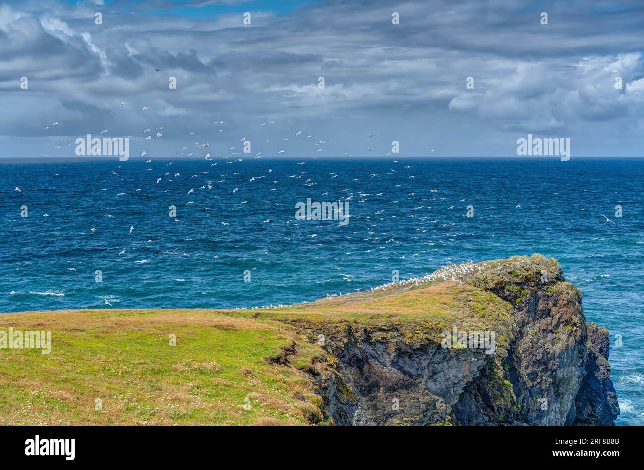 Dramatic wild Cornish seascape looking over a grassy headland towards ...