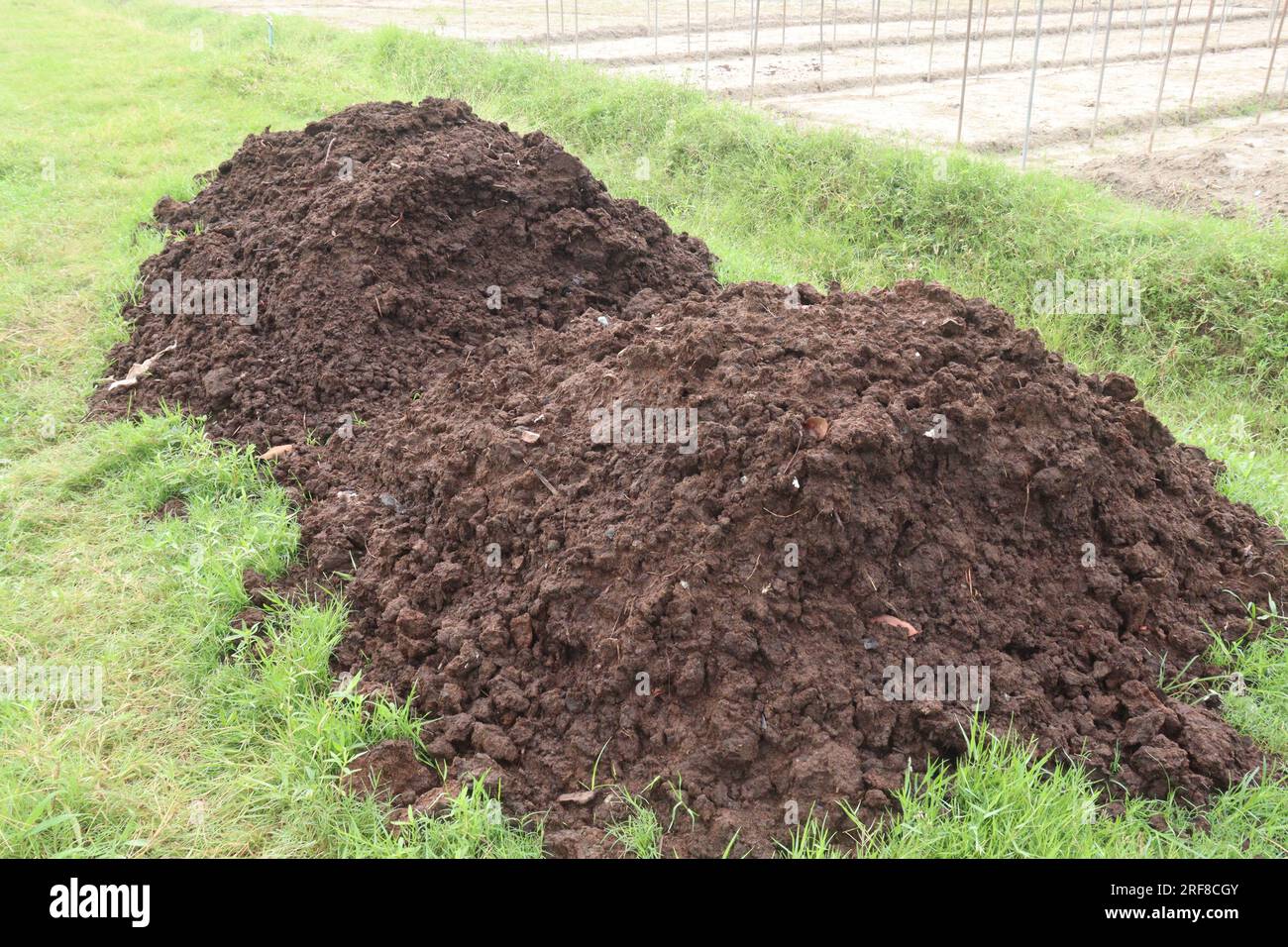 Heap of compost fertilizer on field for crops Stock Photo - Alamy