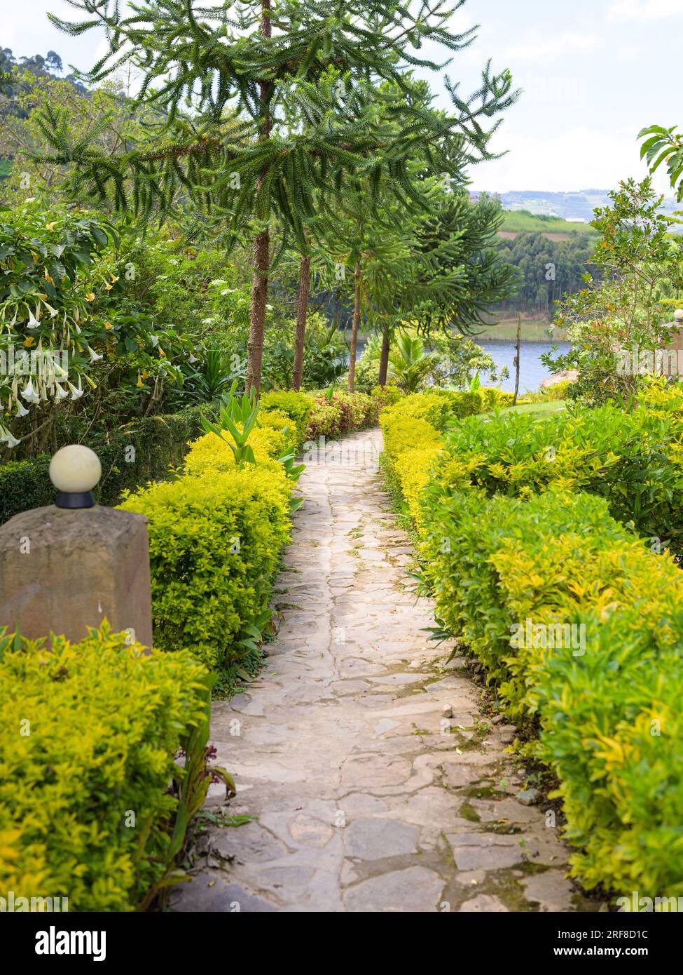 A narrow stone path leading through a tropical garden on a small island ...