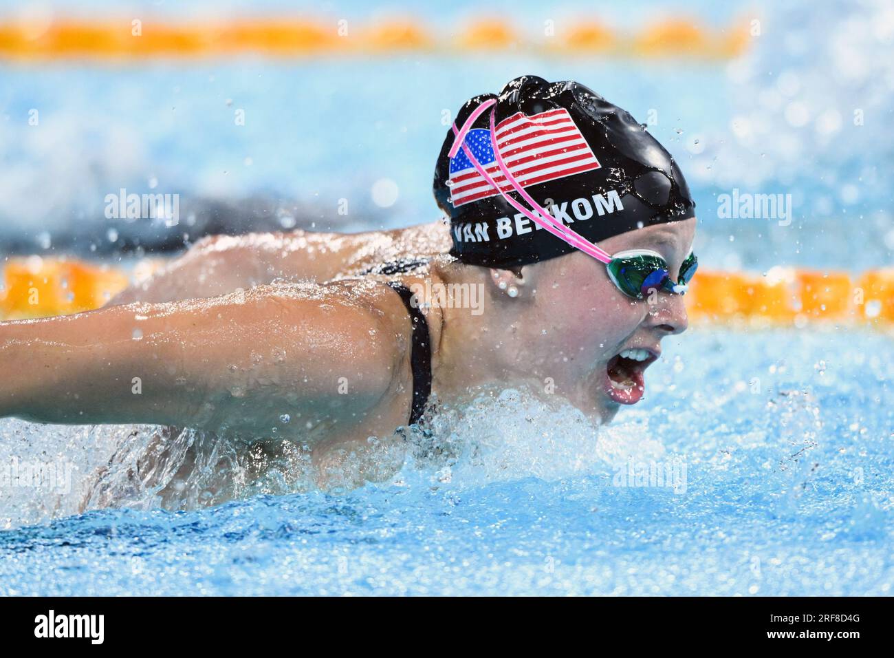 Van berkom hi-res stock photography and images - Alamy