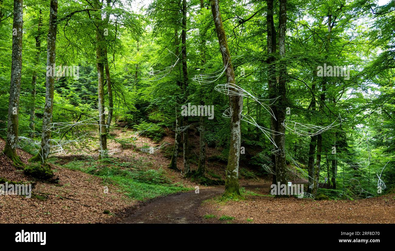 Horizons "Arts-Nature" 2023 in Sancy. Anadrome work by Camille Mansir ...
