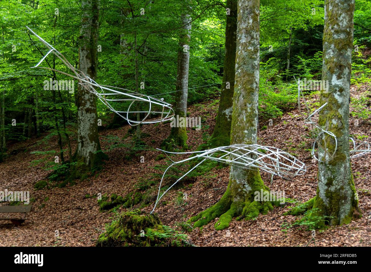 Horizons "Arts-Nature" 2023 in Sancy. Anadrome work by Camille Mansir ...