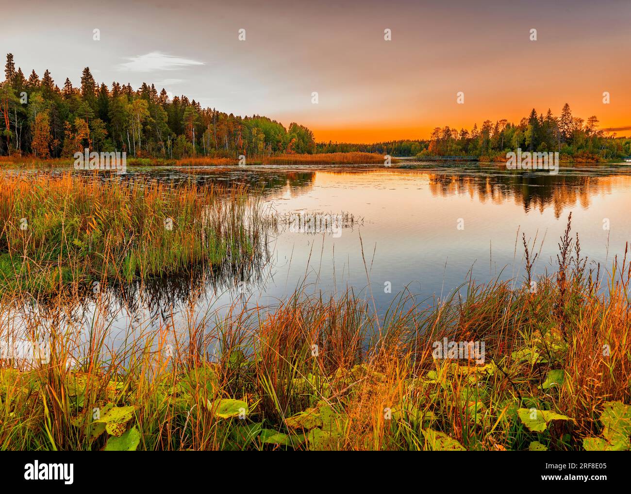 Attractive nature scene hi-res stock photography and images - Alamy