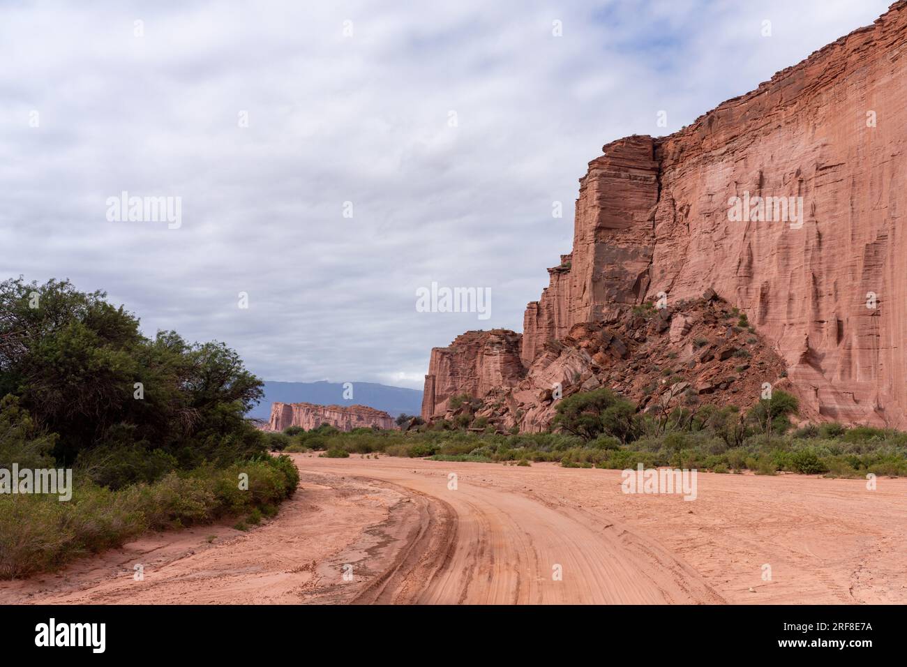 The eroded red sandstone wall of the Triassic Talampaya Formation in ...