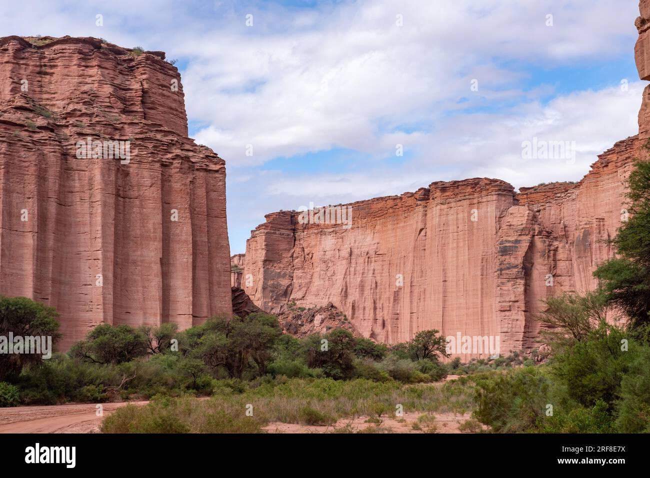Red sandstone cliffs of the Talampaya Formation in the Talampaya Gorge ...