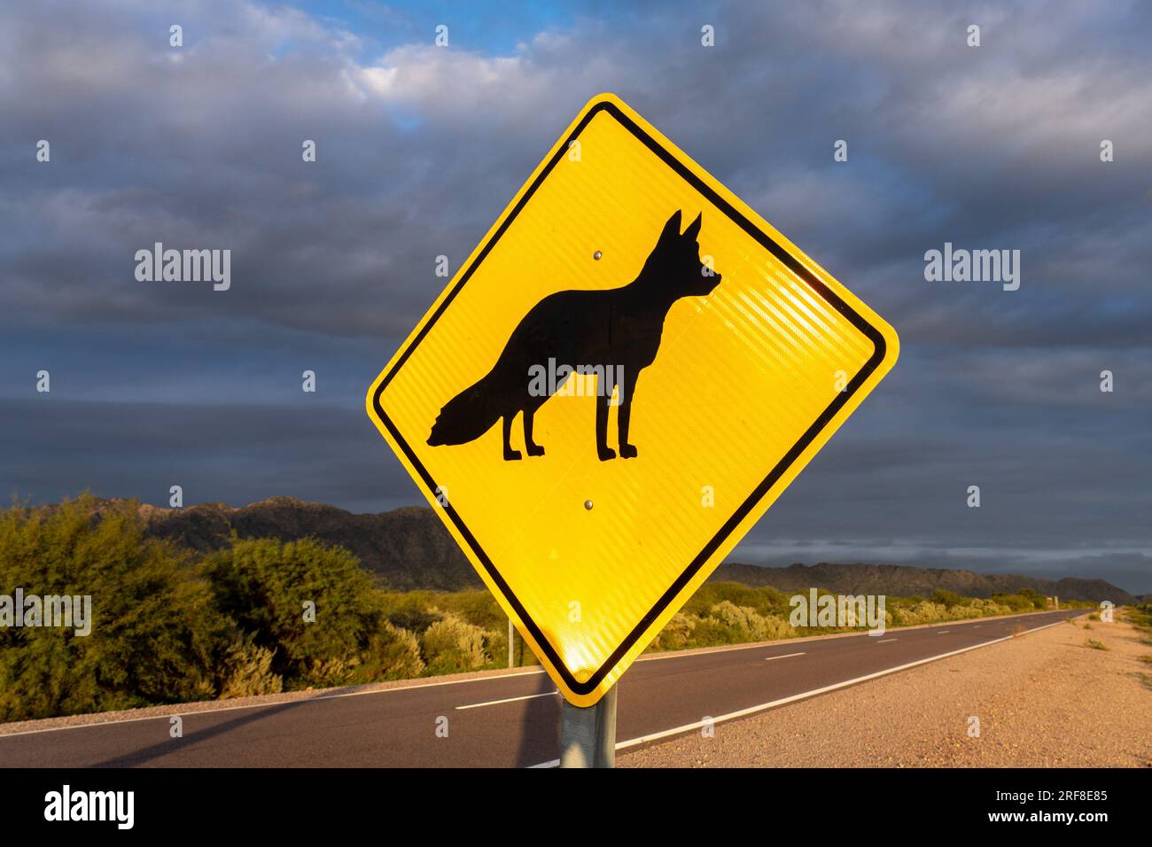A wildlife caution sign for the Patagonian or South American Gray Fox ...