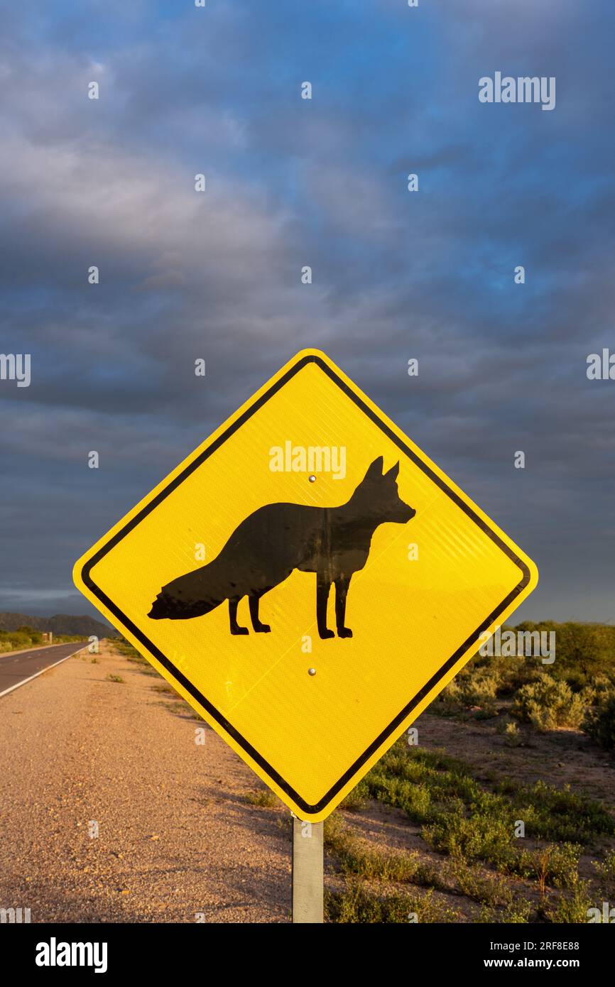 A wildlife caution sign for the Patagonian or South American Gray Fox ...