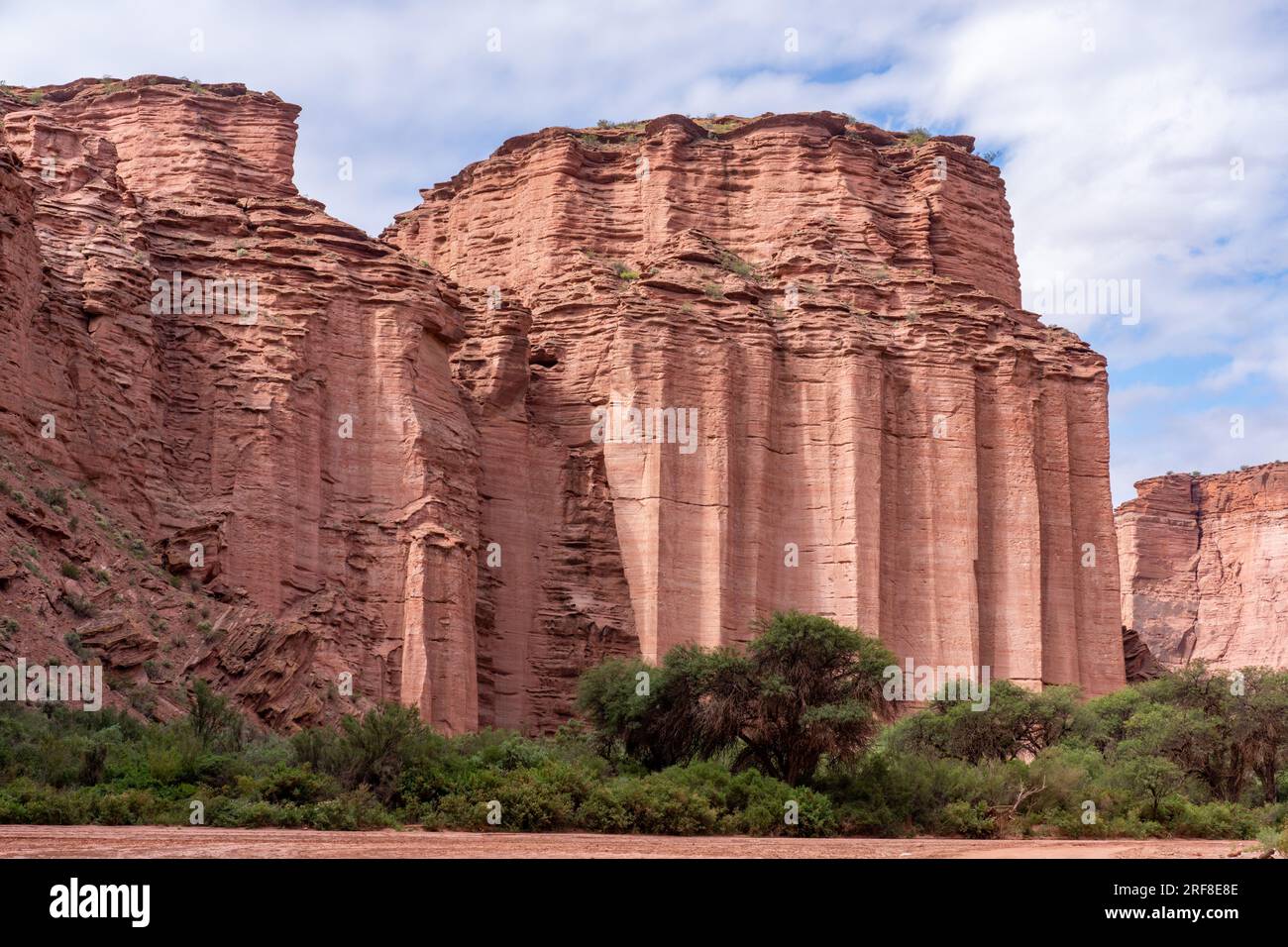 Red sandstone cliffs of the Talampaya Formation in the Talampaya Gorge ...