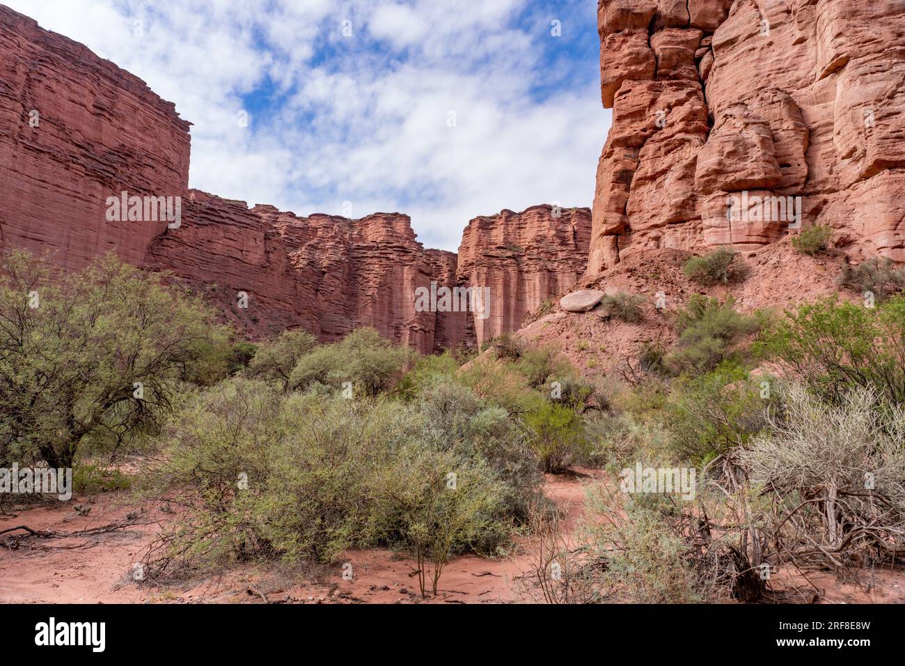 The Botanical Garden in the Talampaya Gorge in Talampaya National Park ...
