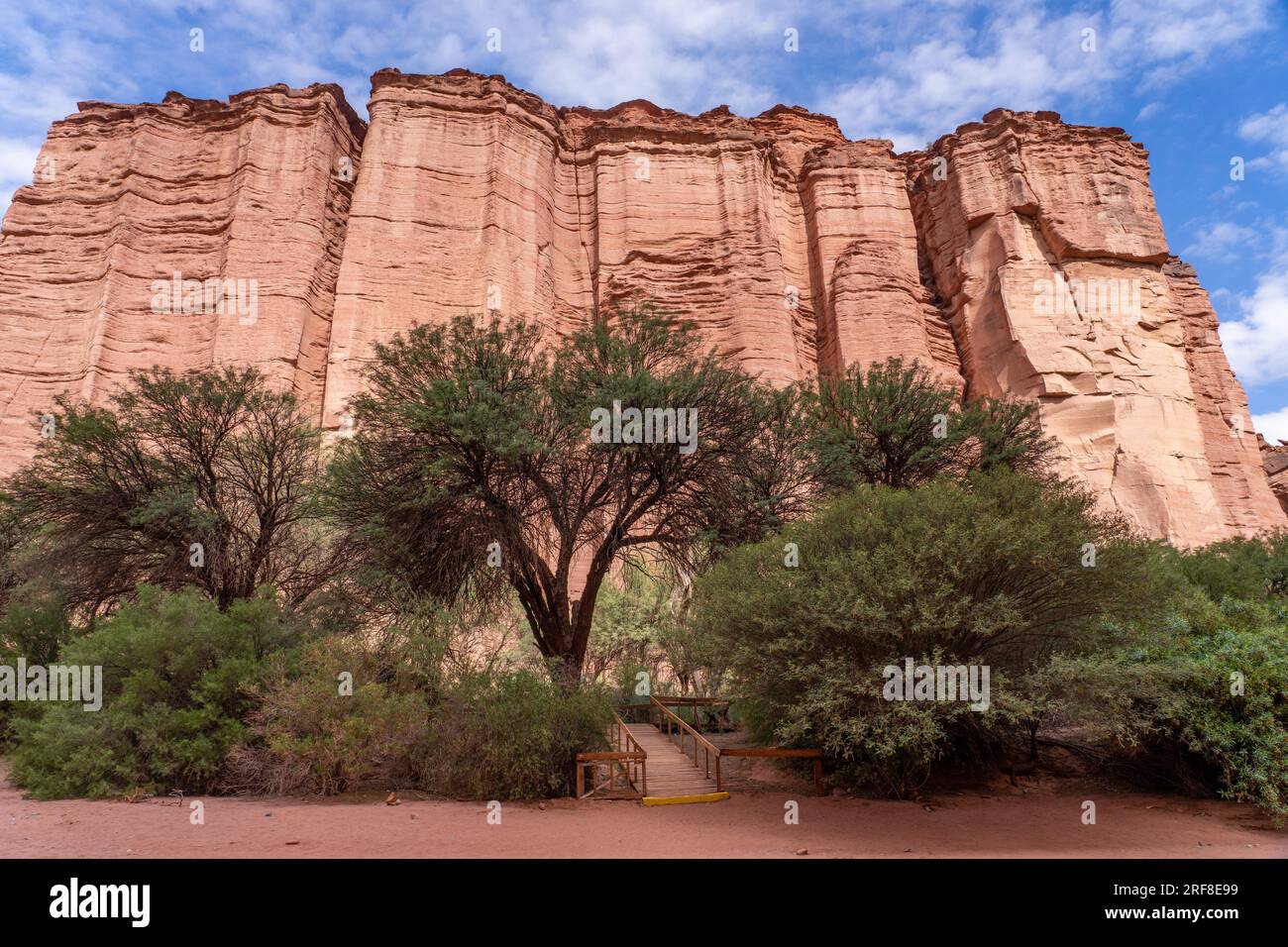 The Botanical Garden in the Talampaya Gorge in Talampaya National Park ...
