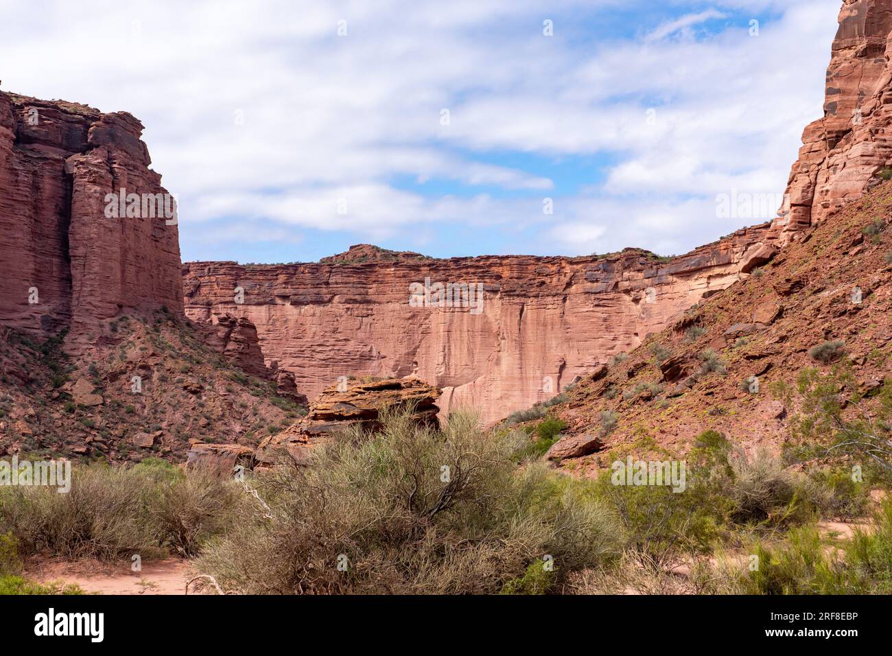 Red sandstone cliffs of the Talampaya Formation in the Talampaya Gorge ...