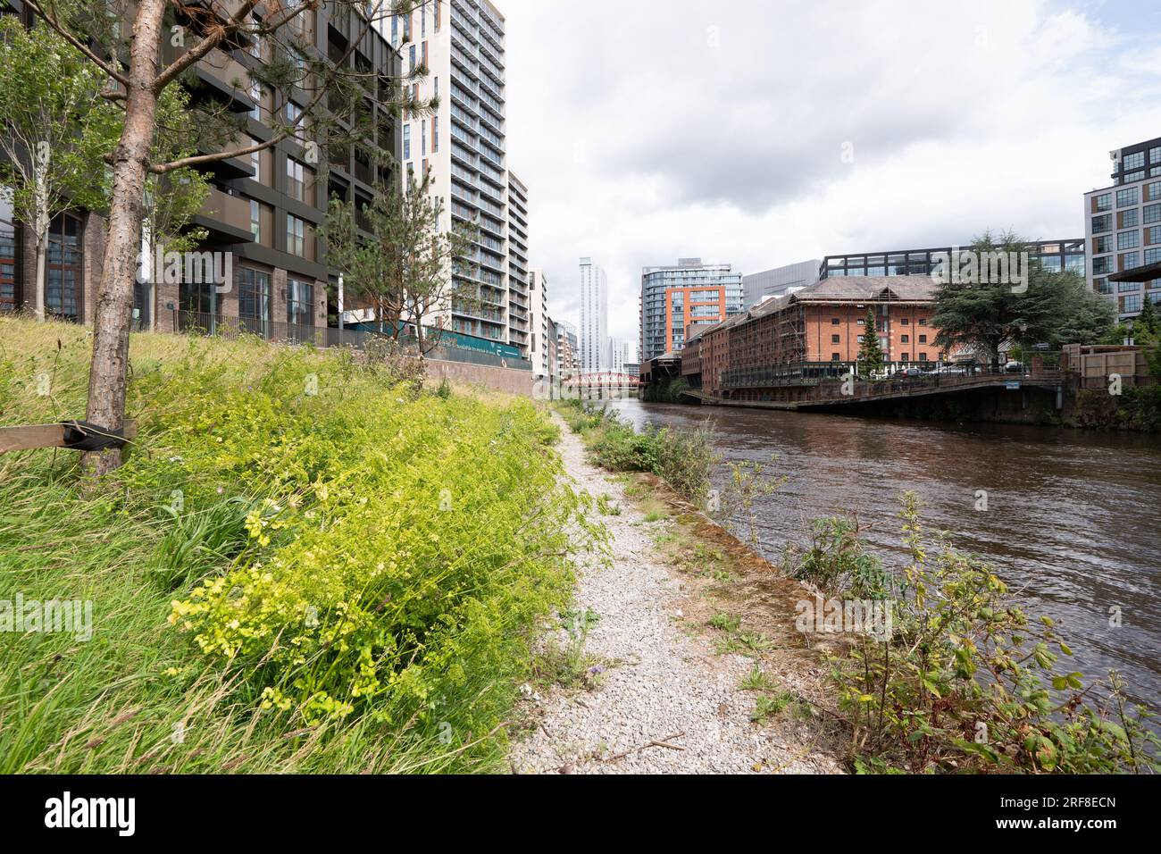 Urban development alongside the River Irwell, Salford, Borough of ...