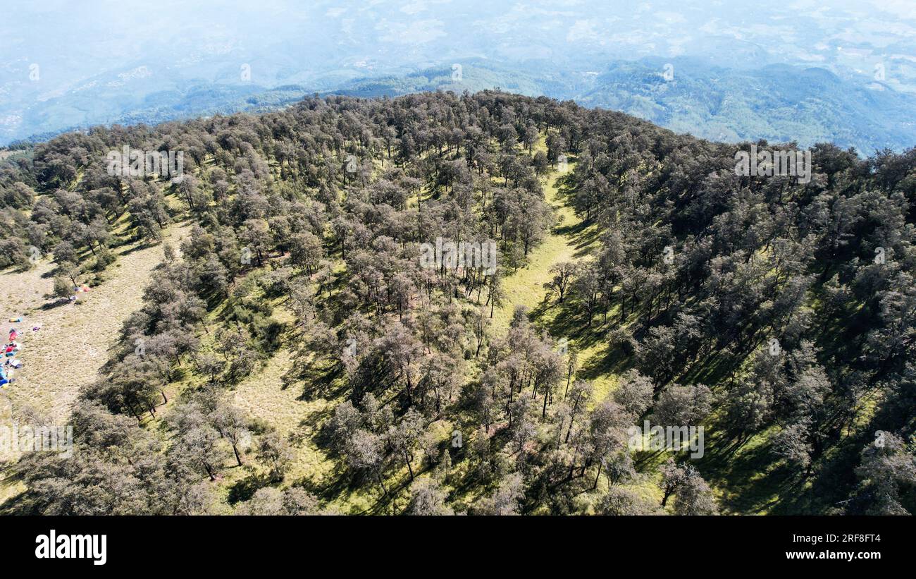 The beautiful Landscape view from Lawu Mountain at sunrise located in ...