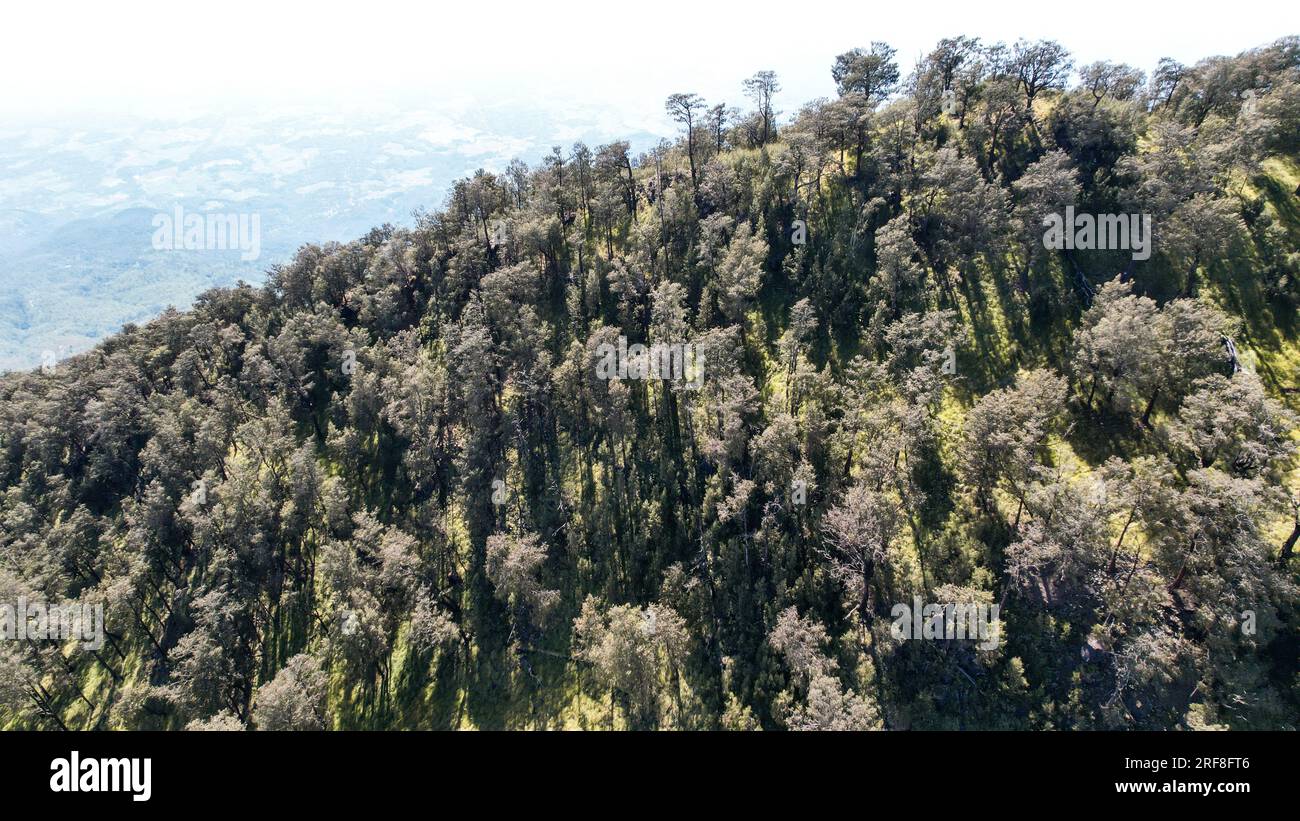 The beautiful Landscape view from Lawu Mountain at sunrise located in ...