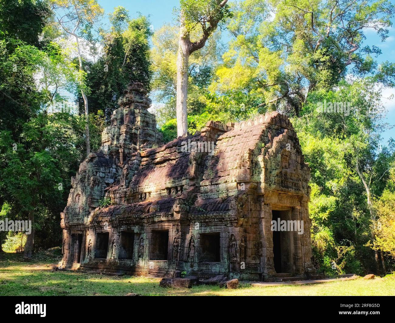 Forgotten beauty: An old abandoned Khmer building nestled in a ...