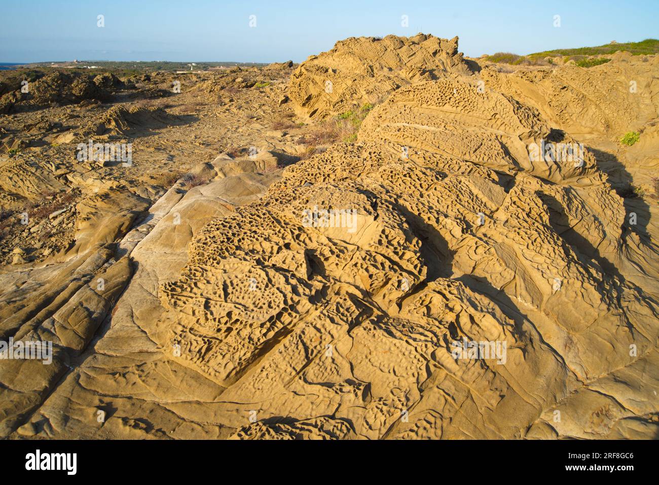 The effect of wind erosion on the rocks of the Menorcan coast is shown ...