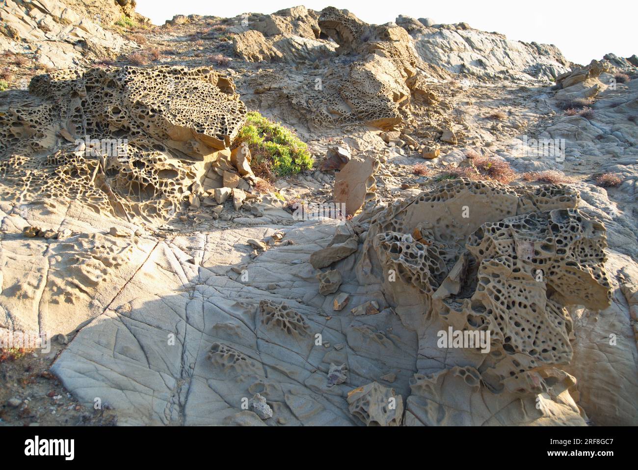 The effect of wind erosion on the rocks of the Menorcan coast is shown ...