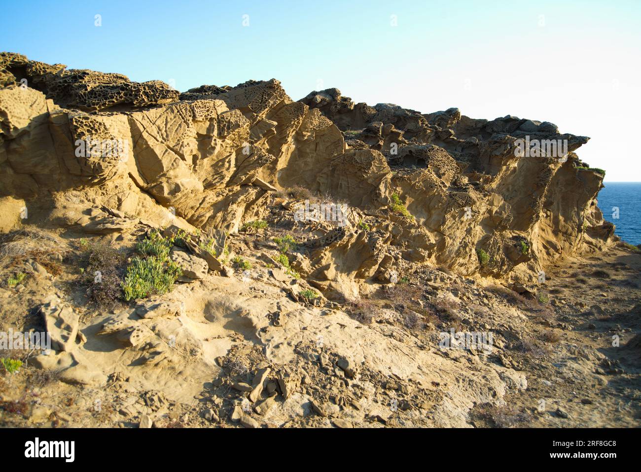 The effect of wind erosion on the rocks of the Menorcan coast is shown ...