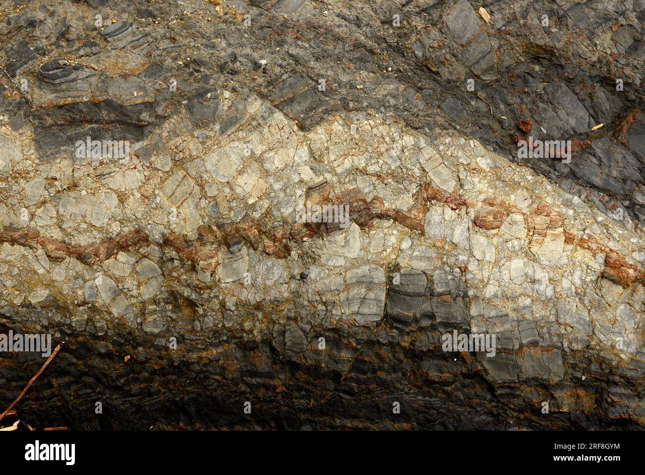 Micro faults in schists and fault breccia. Cabo Ras, Girona, Catalonia ...