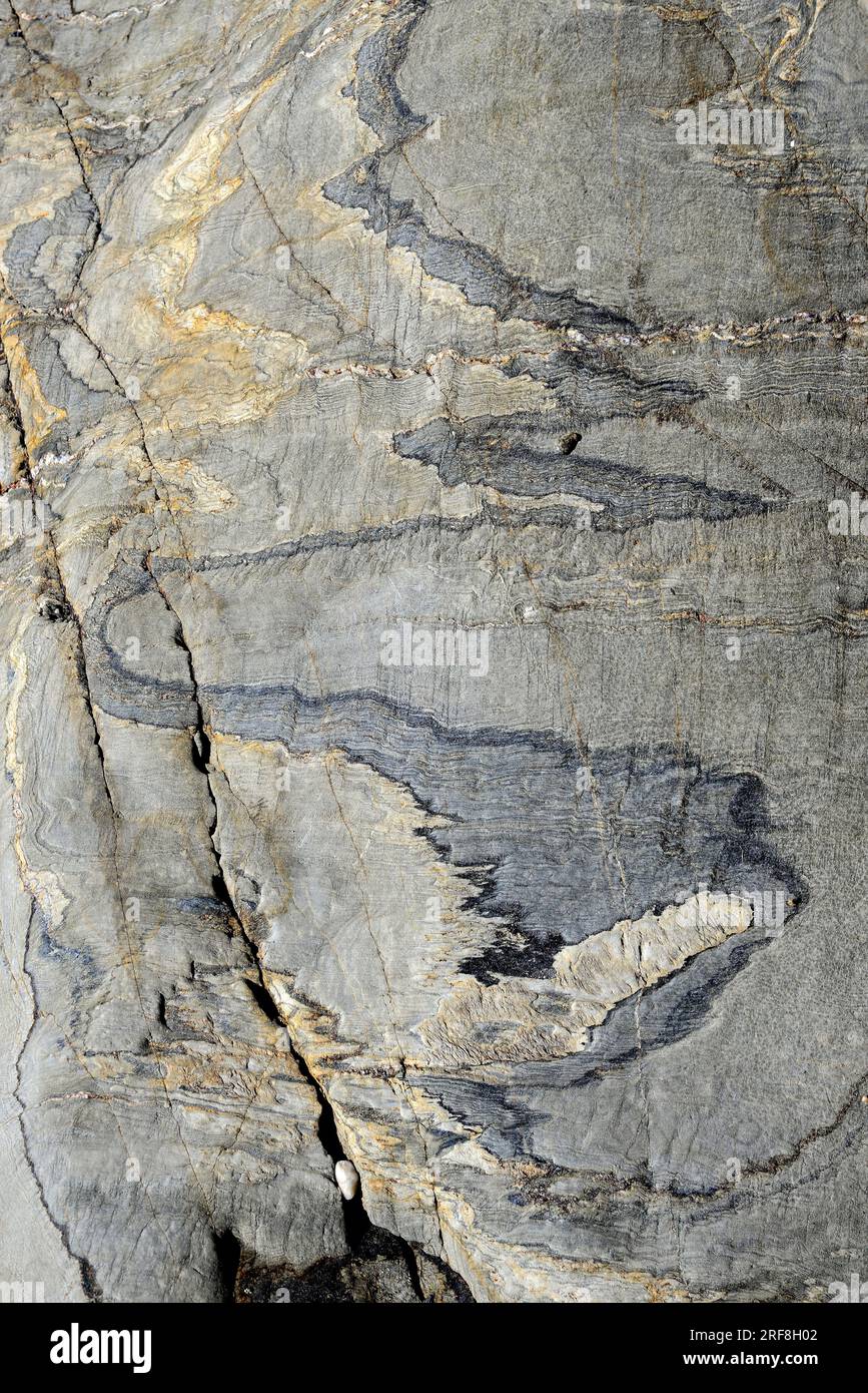 Microfolds hi-res stock photography and images - Alamy