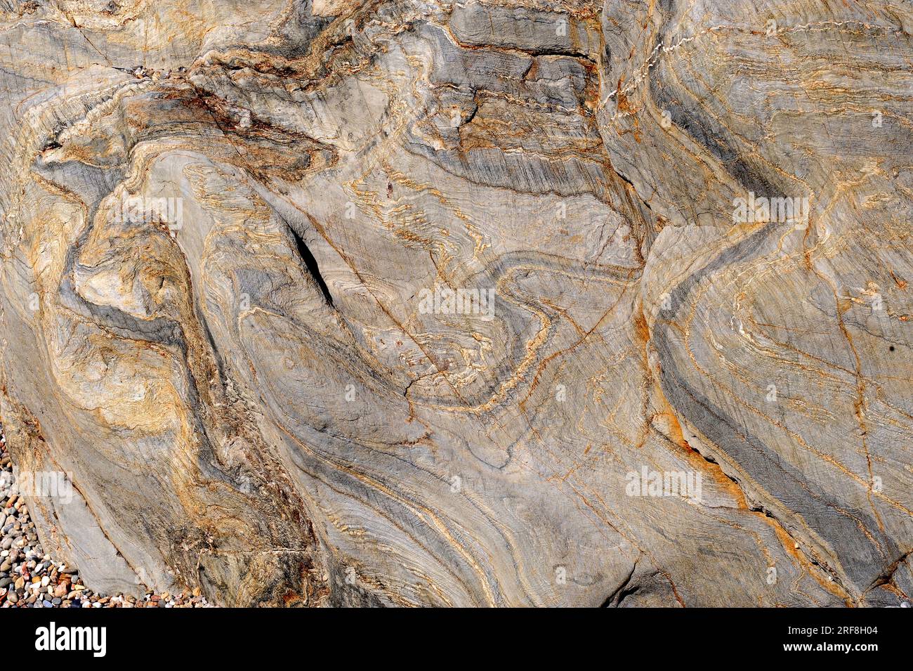 Microfolds hi-res stock photography and images - Alamy