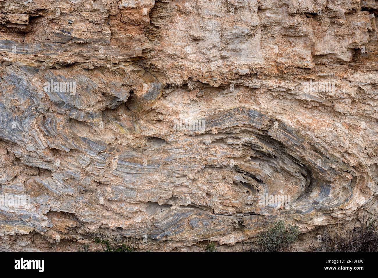 Microfold hi-res stock photography and images - Alamy