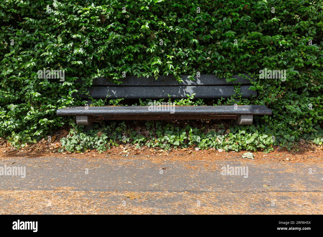Overtaken by growth hi-res stock photography and images - Alamy