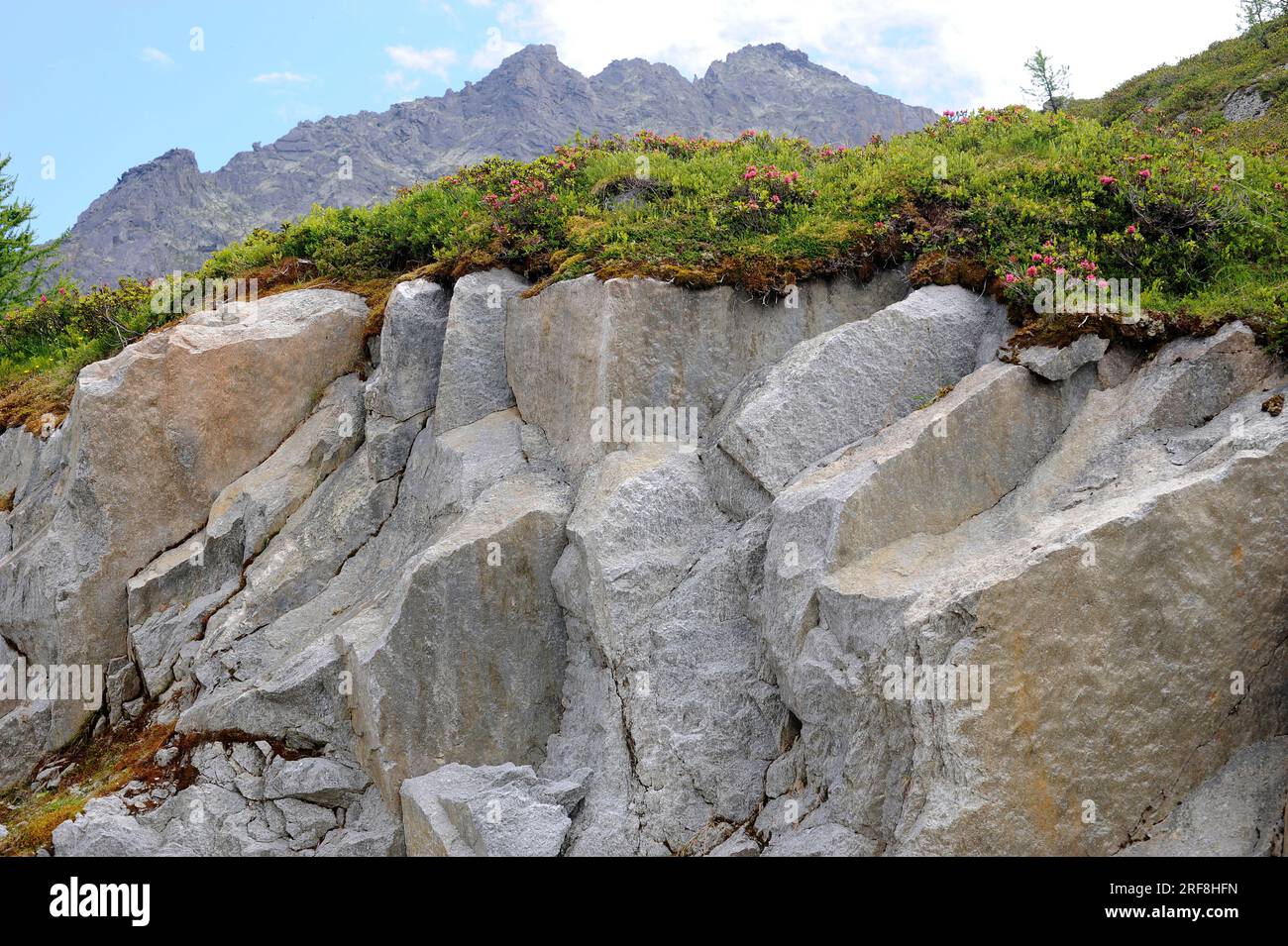 Leptosol is a very shallow soil over a hard rock. This photo was taken ...