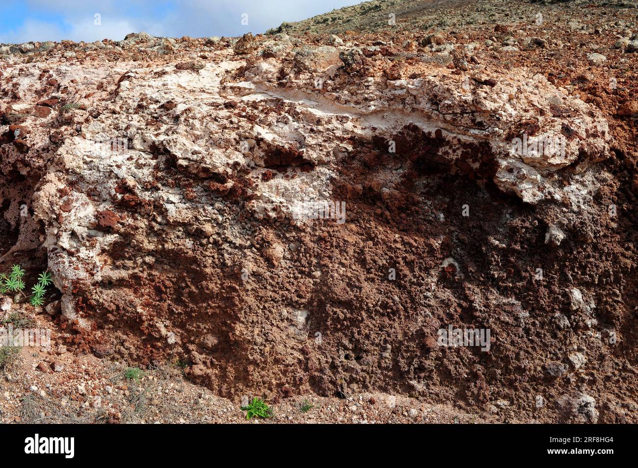 Litosol hi-res stock photography and images - Alamy