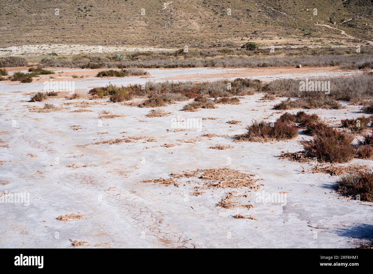 Salty soil or saline soil is a soil with a high concentration of sodium ...