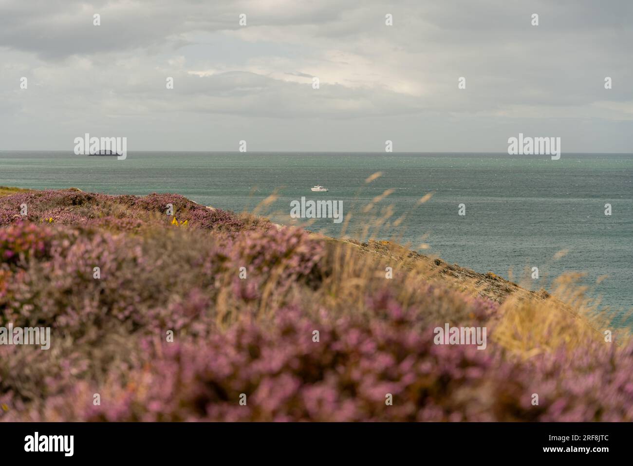 Bull Bay Anglesey Wales Stock Photo - Alamy
