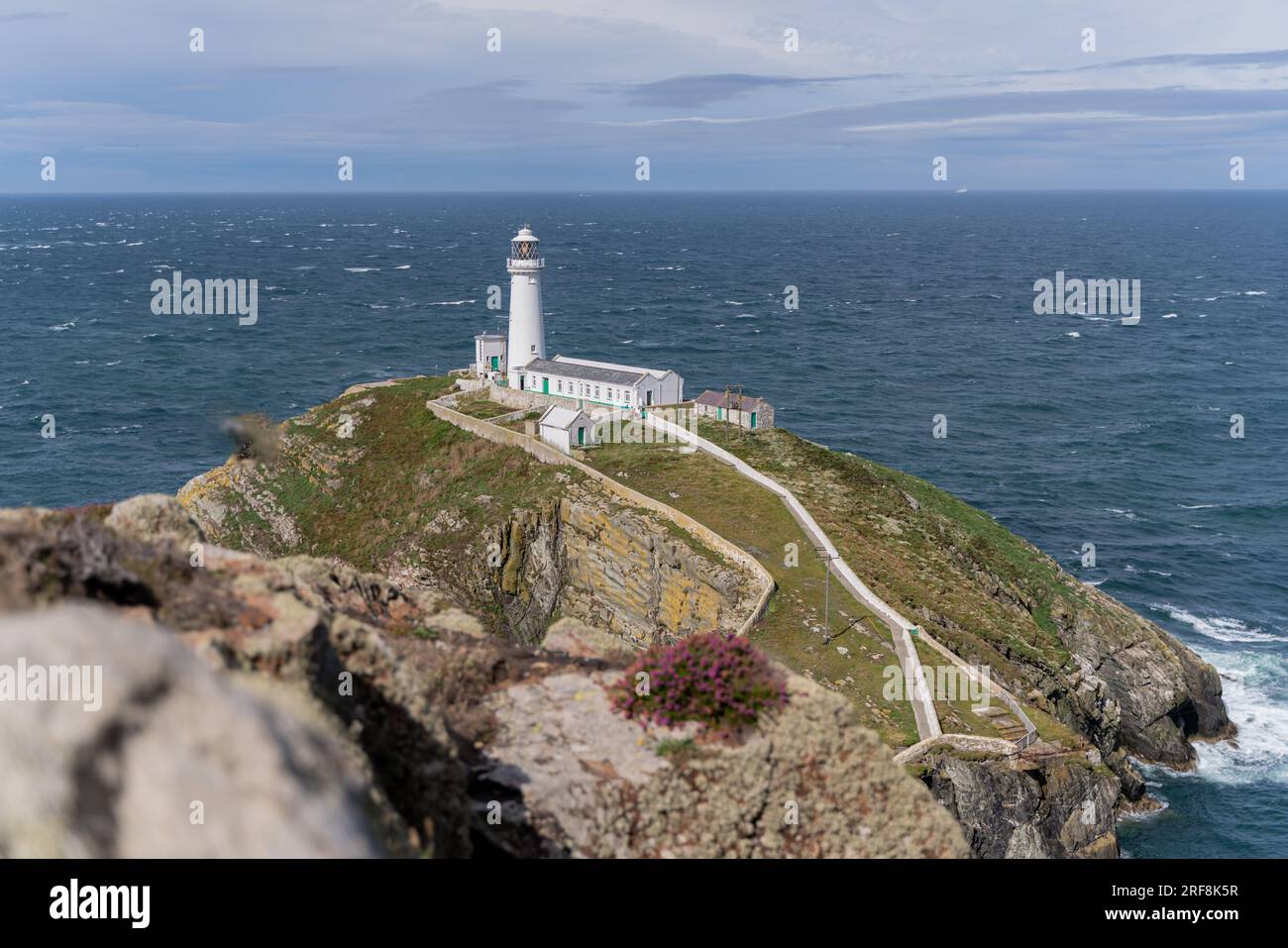 South stack lighthouse, Anglesey Wales Stock Photo - Alamy